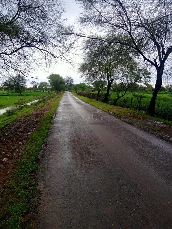 Indian Village& X27;s Road Small Water Sky Stock Photo - Image of green ...