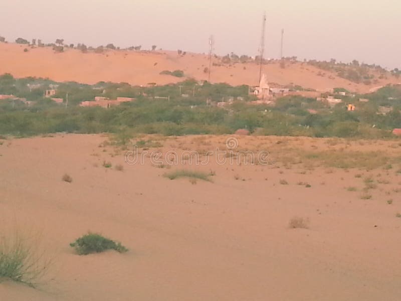 Indian village towar tree stock photo. Image of indian - 177201066