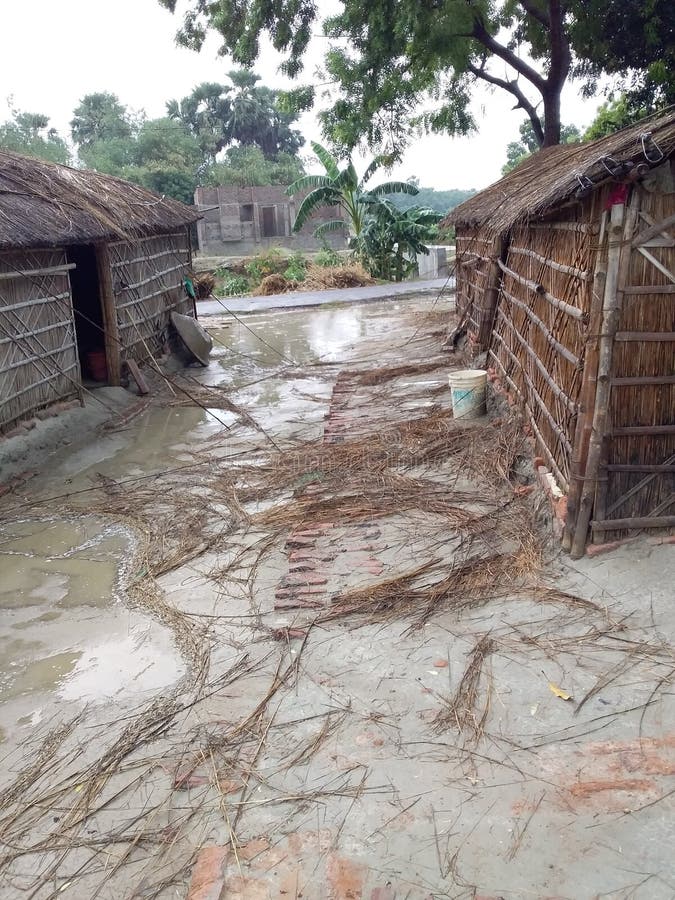 Indian village Vaishali stock photo. Image of indian - 155708378