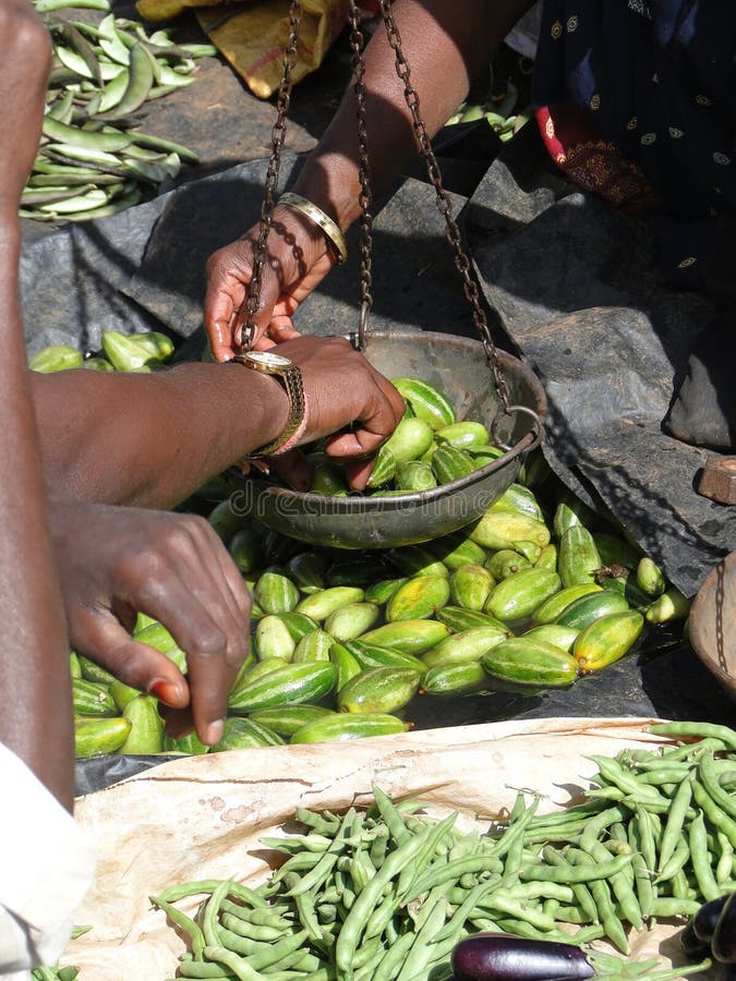 Indian Villagers Sell Cucumbers Stock Photo - Image of selling, orissa ...