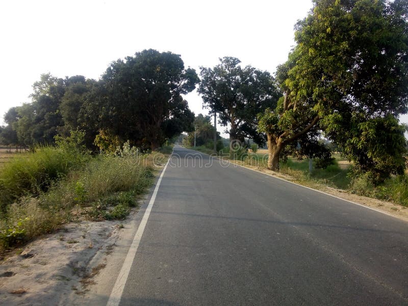 Indian Villege Rode this is Small Rode Stock Photo - Image of nature ...