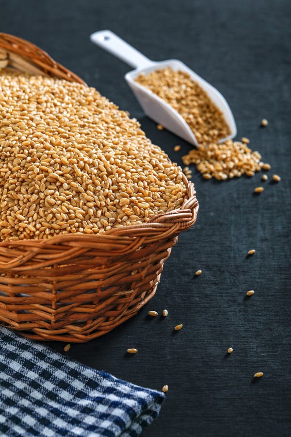 Indian Wheat Grains and Wheat Flour Stock Photo - Image of diet ...