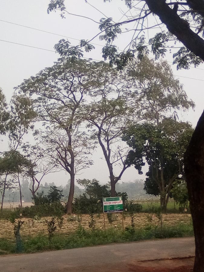 Indian Winter Wooding Fire in Village Stock Photo - Image of house ...