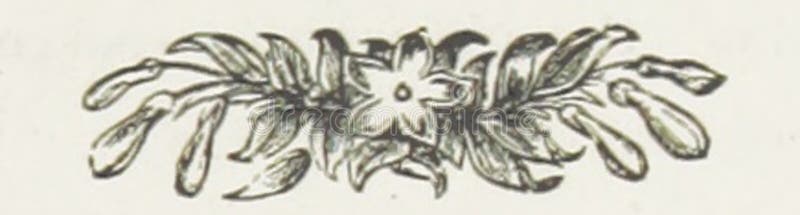 British Library Digitised Image From Page 125 Of "An Indian Wizard [A ...