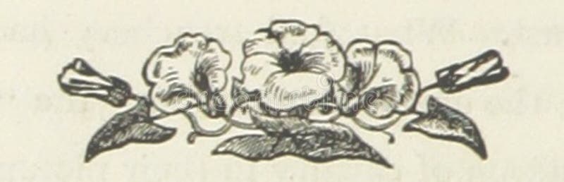 British Library Digitised Image from Page 102 of "an Indian Wizard [a ...