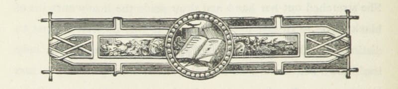 British Library Digitised Image From Page 72 Of "An Indian Wizard [A ...