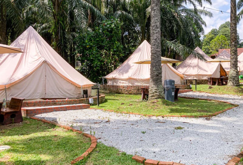 Natural Forest Indiana Camping Tent Stock Image - Image of hobby, empty ...