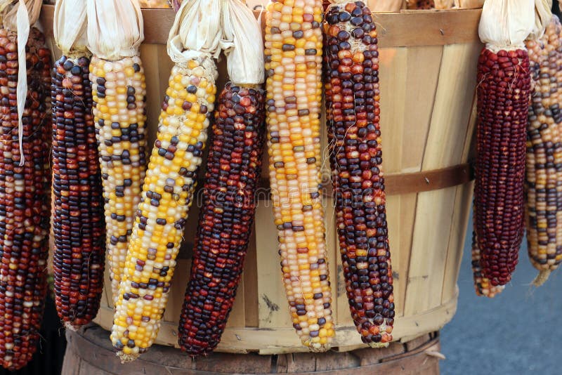 Autumn in Indiana stock image. Image of indiana, autumn - 46096209