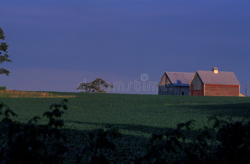 Indiana Farm stock photo. Image of farming, blue, farm - 175976