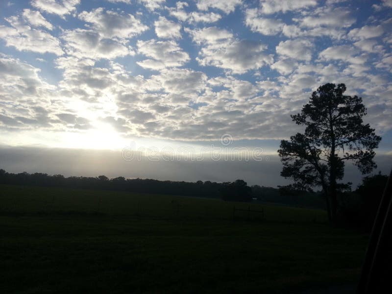 Indiana fields n sunshine stock photo. Image of sunshine - 188107786