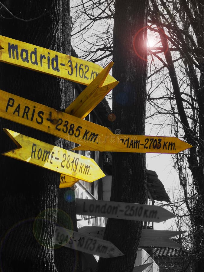 Indicative Signs in the Forest and Parks. Stock Image - Image of ...