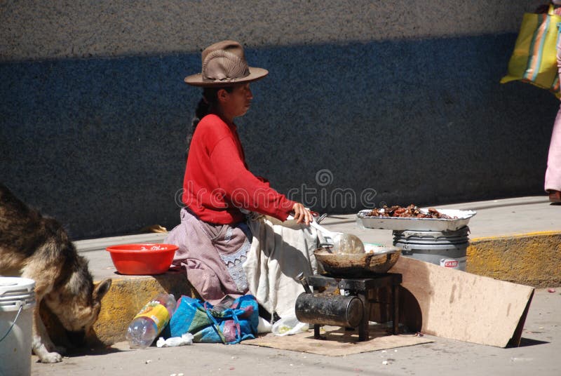 Indigence Peruvian Woman with Lama Editorial Image - Image of america ...