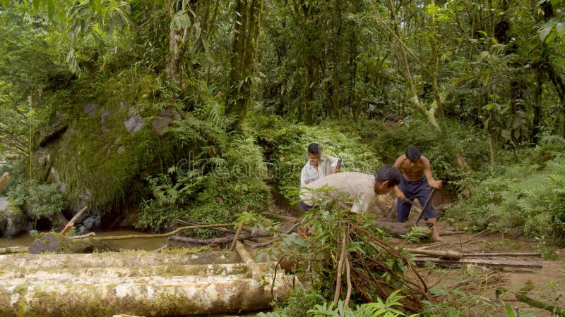 Indigenous building a raft stock footage. Video of construction - 158924996