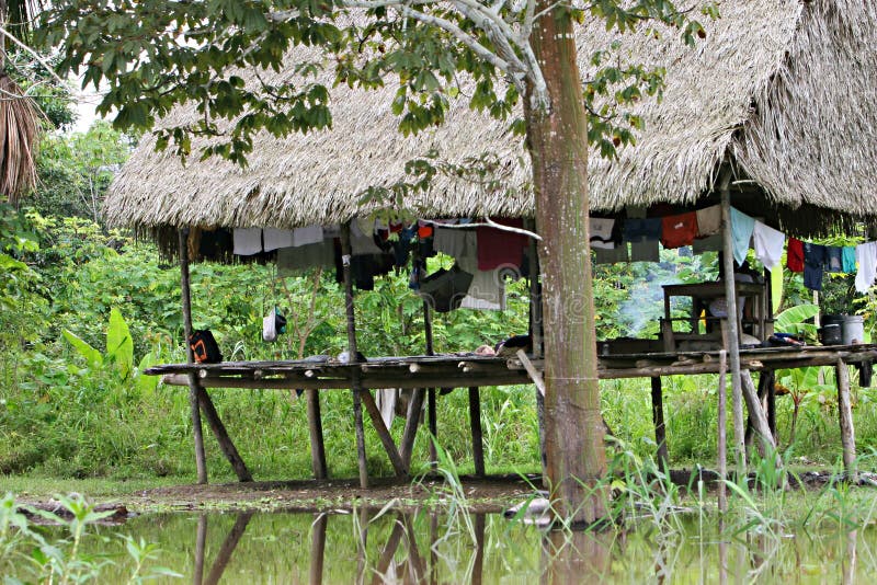 Indigenous House stock image. Image of tree, home, rainforest - 28717931