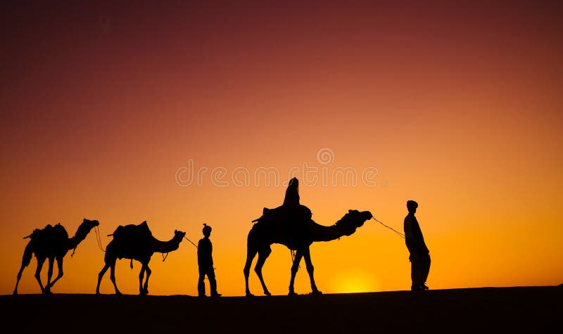 Indigenous Indian Men Walking through the Desert with Their Came Stock ...