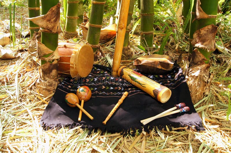 Indigenous Musical Instruments Stock Photo - Image of shell, outdoors ...