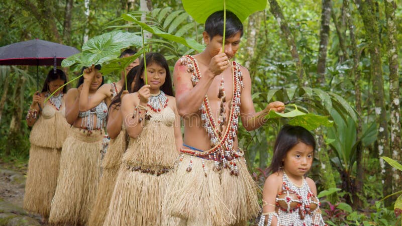 Indigenous People Walking Thru a Path with Leaf Umbrellas Stock Video ...