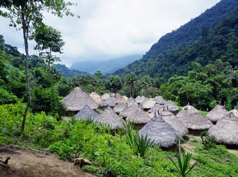 Indigenous Village in the Colombian Jungle Stock Image - Image of ...