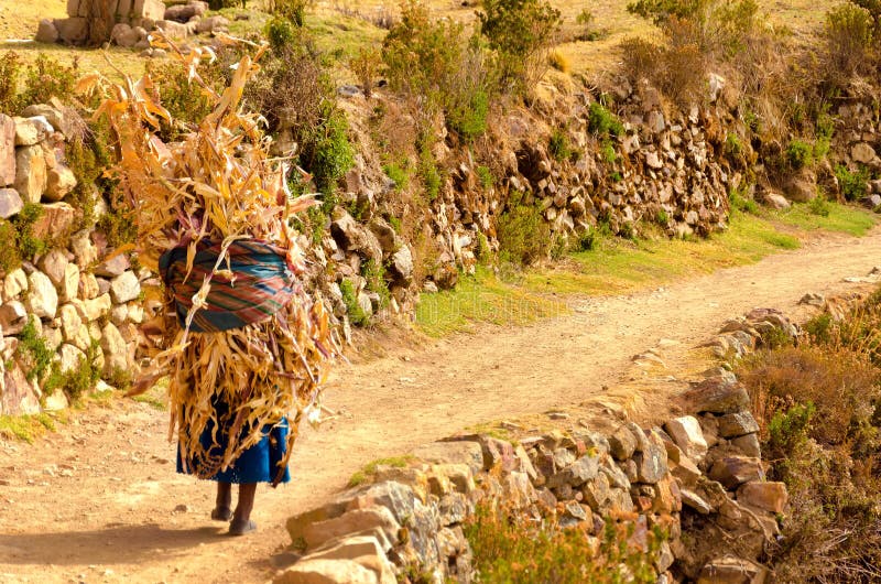 Indigenous Woman on Path in Bolivia Stock Photo - Image of altitude ...
