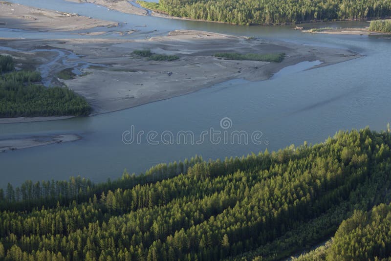 Indigirka 库存照片. 图片 包括有 森林, 俄国, 木头, 山脉, 蓝色, 绿色, 顶层, 结构树 - 60895236