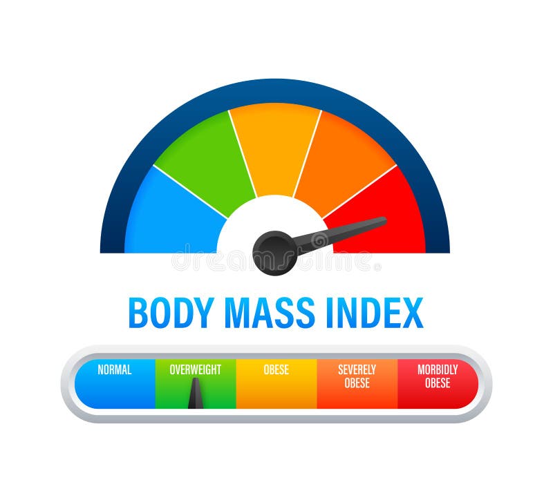 Indikator Bmi on Scale. Chart Concept. Vector Icon. Stock Vector ...