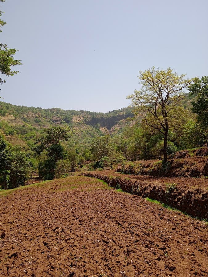Soil Emage Stock Photos - Free & Royalty-Free Stock Photos from Dreamstime