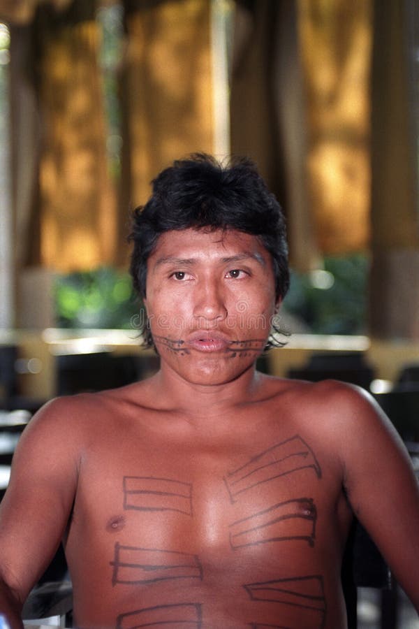 Indio Nativo Joven Del Brasil Imagen de archivo editorial - Imagen de ...