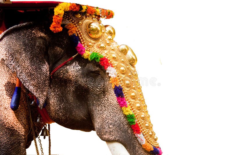Verfraaide Olifanten In Hindoese Tempel Bij Festival Stock Foto ...