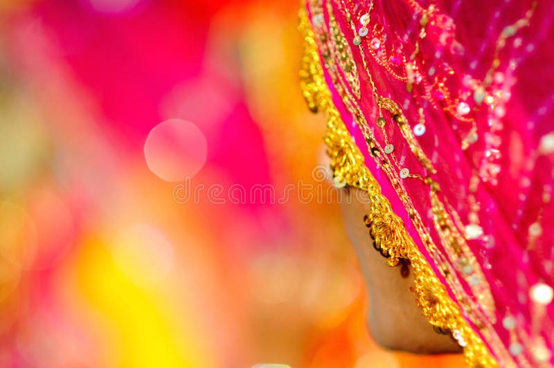 Indische Sari stockfoto. Bild von handwerk, schal, fertigkeit - 14052558