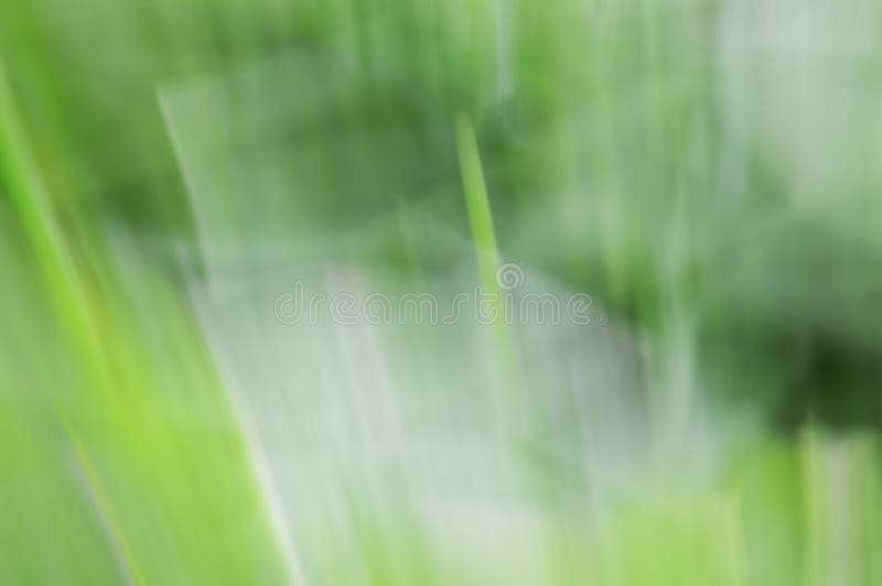 Indistinct grass stock image. Image of shadow, texture - 55241471