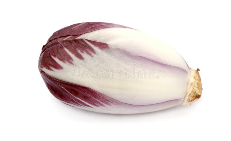 Indivia immagine stock. Immagine di giardino, rosso, vegetariano - 4112599