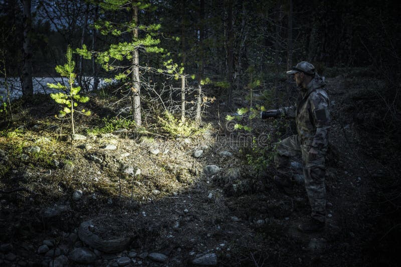 A Person Exploring a Forested Area with a Flashlight during Nighttime ...