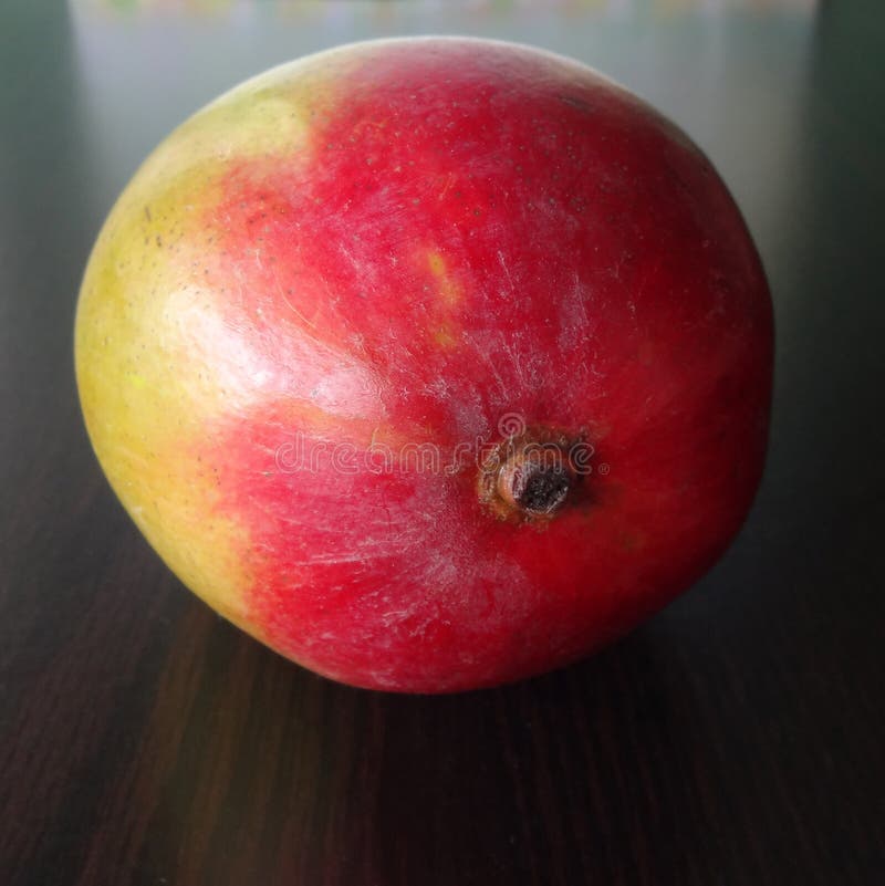 Individual Mango Against a Colorful Background Stock Image - Image of ...