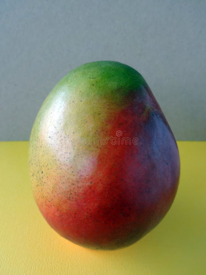 Individual Mango Against a Colorful Background Stock Photo - Image of ...