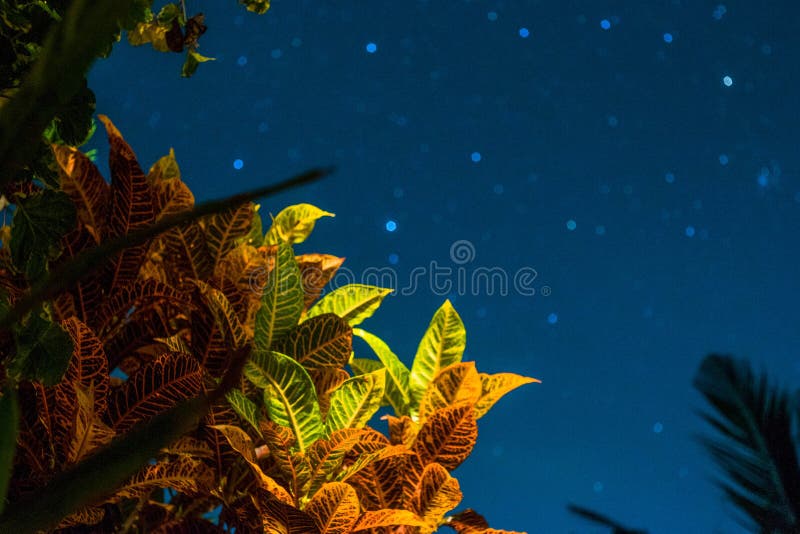 Indonesia, Bali Night Experience Stock Image - Image of lens ...