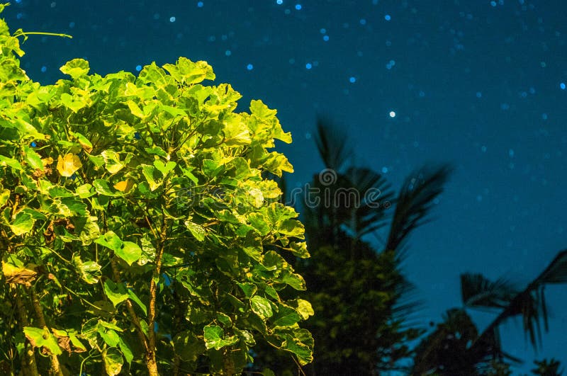 Indonesia, Bali Night Experience Stock Image - Image of pentagon ...