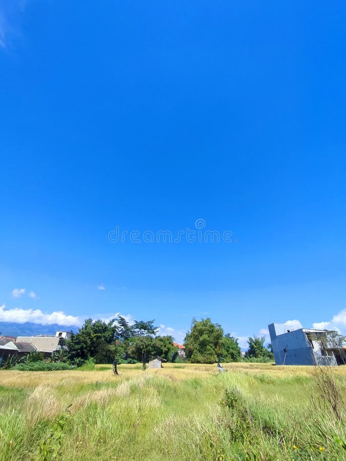 Indonesia Blue sky village stock photo. Image of agriculture - 269579334