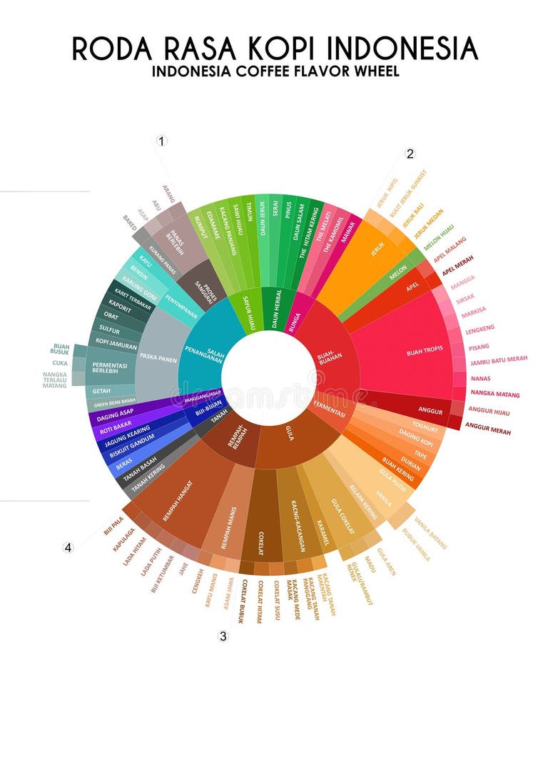 Flavour Wheel Stock Illustrations – 144 Flavour Wheel Stock ...