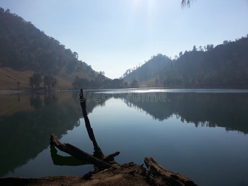 INDONESIA EAST JAVA stock image. Image of landscape, tree - 57618813