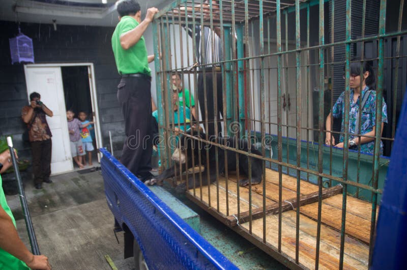 Indonesia Environmental Issues Editorial Stock Image - Image of ...