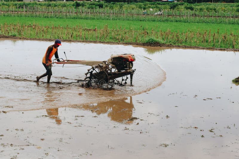 Indonesia Farmer Plowing a Rice Field Using Tiller Tractor Editorial ...
