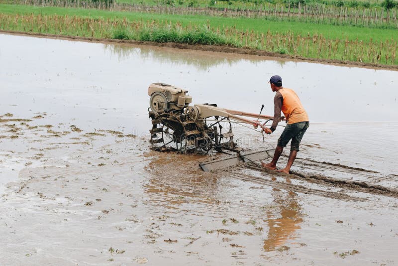 290 Rice Tiller Stock Photos - Free & Royalty-Free Stock Photos from ...