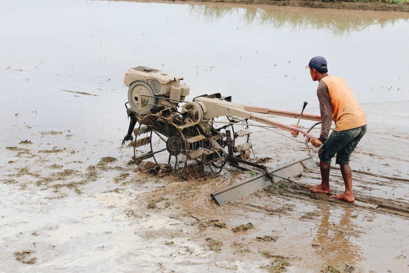 Indonesia Farmer Plowing a Rice Field Using Tiller Tractor Editorial ...