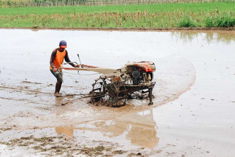 Indonesia Farmer Plowing a Rice Field Using Tiller Tractor Editorial ...