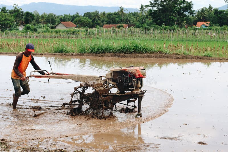 Indonesia Farmer Plowing a Rice Field Using Tiller Tractor Editorial ...