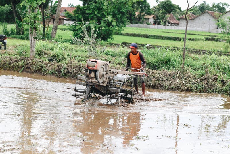 290 Rice Tiller Stock Photos - Free & Royalty-Free Stock Photos from ...