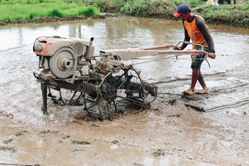 Indonesia Farmer Plowing a Rice Field Using Tiller Tractor Editorial ...
