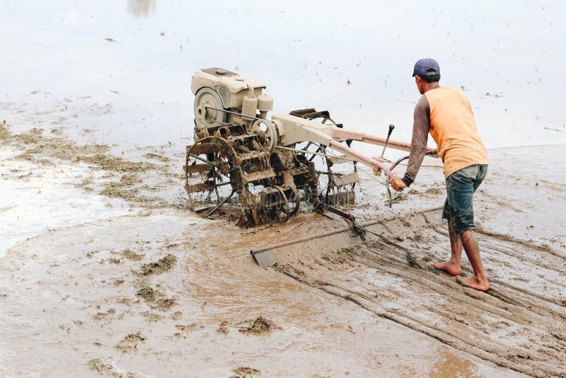 Indonesia Farmer Plowing a Rice Field Using Tiller Tractor Editorial ...