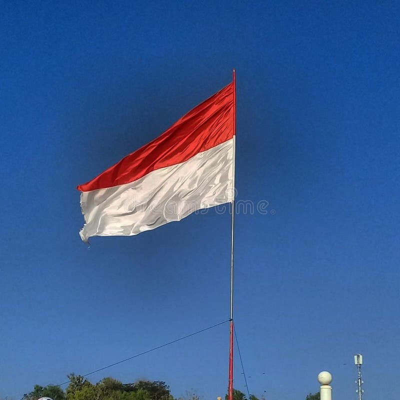 Indonesia Flag Red and White Fly in the Sky Stock Photo - Image of flag ...