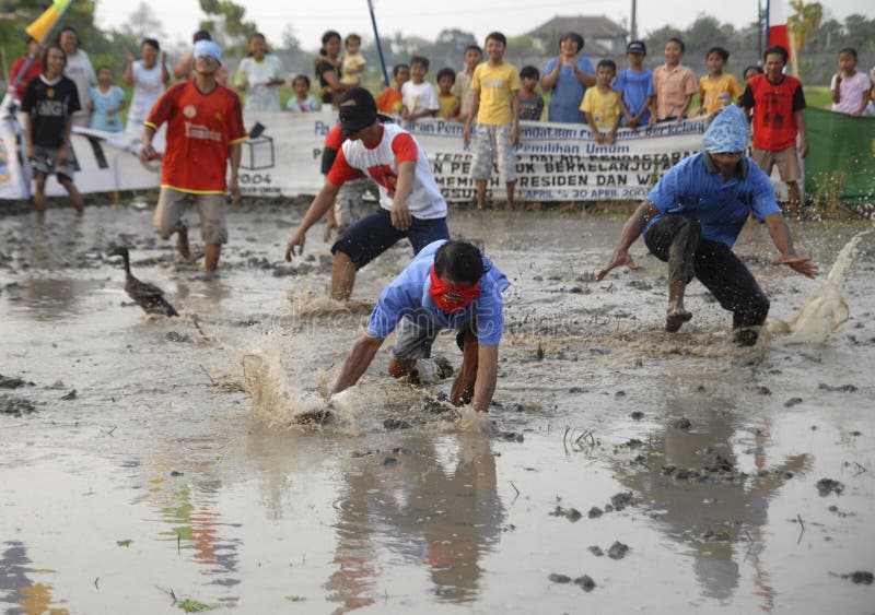 INDONESIA HUMAN DEVELOPMENT INDEX Editorial Photography - Image of solo ...